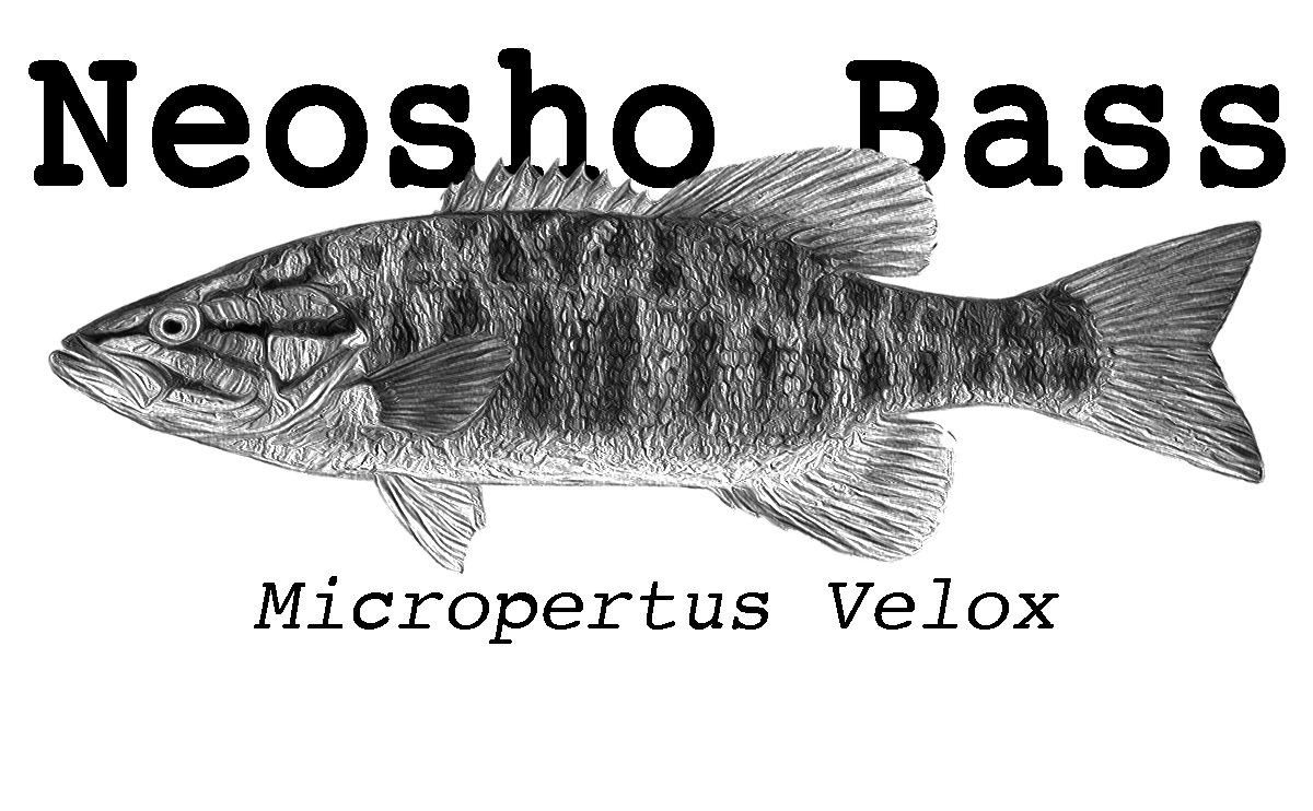Micropterus Lenox